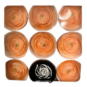 Preserved, Ranunculus 9 box, peach 99 - Preservedusa